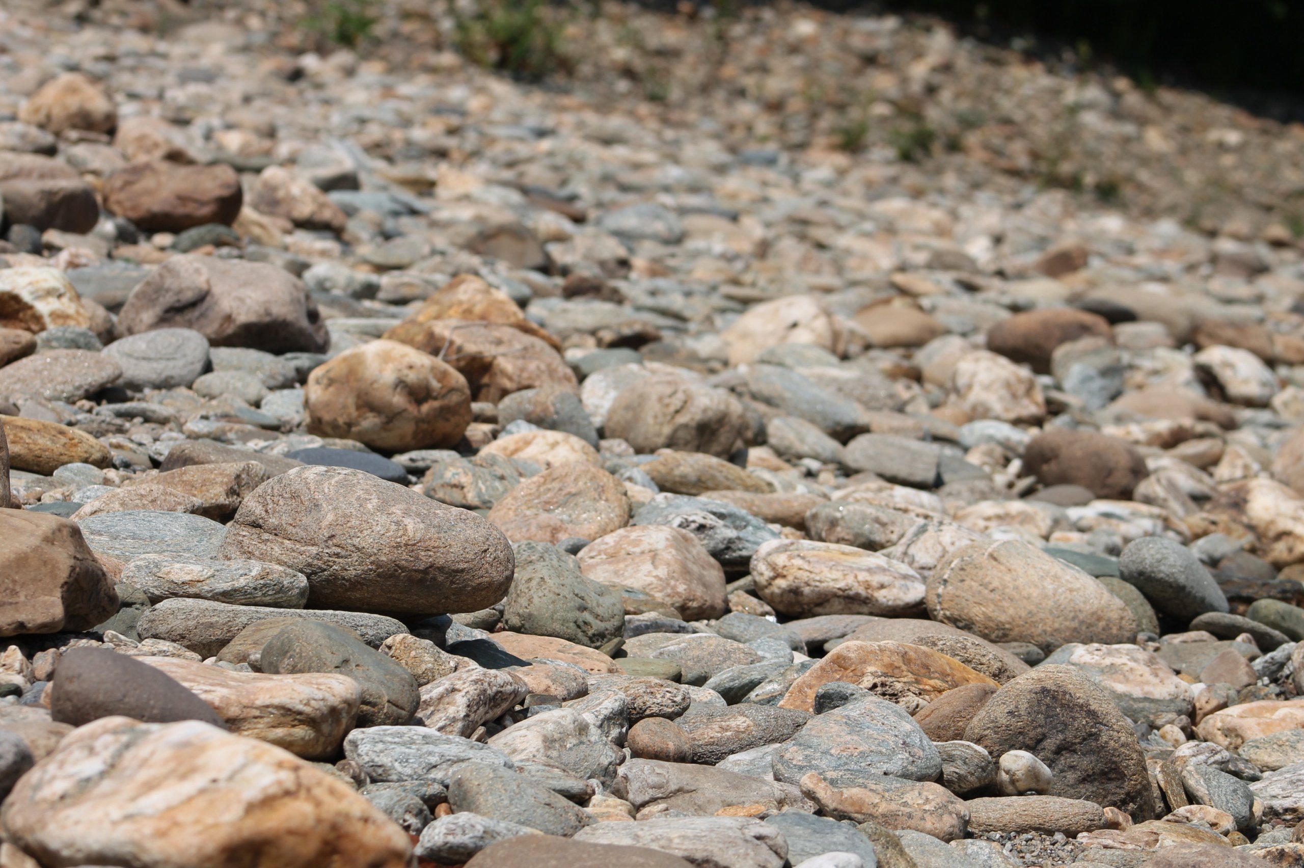 12 Driving Forces: What You Need to Know